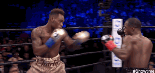 Fight Night Boxing GIF by SHOWTIME Sports - Find & Share on GIPHY