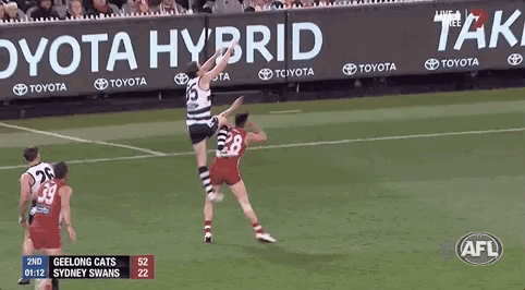 Aussie Rules Finals GIF by AFL - Find & Share on GIPHY