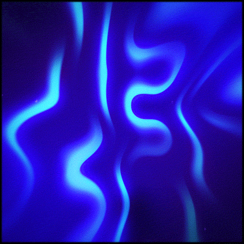 - Find & Share on GIPHY