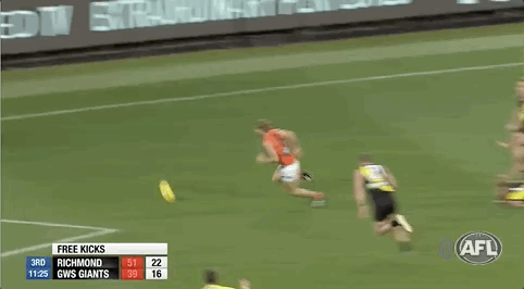 AFL GIF - Find & Share on GIPHY