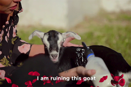 Sophie Monk GIF by The Bachelorette Australia - Find & Share on GIPHY