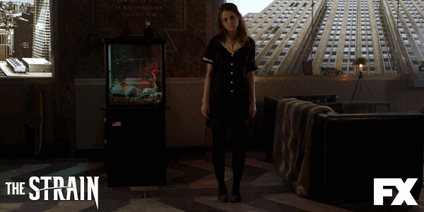 The Strain GIF - Find & Share on GIPHY