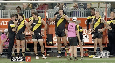 Aussie Rules Finals GIF by AFL - Find & Share on GIPHY