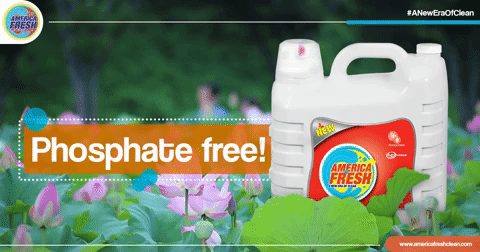 GIF by Viral Amplifier - Find & Share on GIPHY