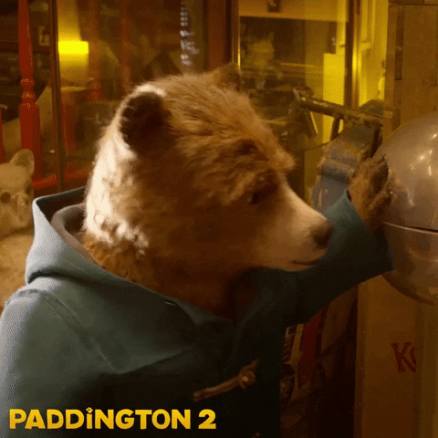 Paddington Bear GIF - Find & Share on GIPHY