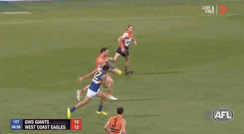 Aussie Rules Finals GIF by AFL - Find & Share on GIPHY