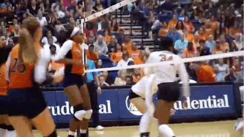 UTSA Athletics GIF - Find & Share on GIPHY