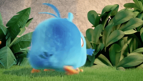 GIF by Angry Birds - Find & Share on GIPHY