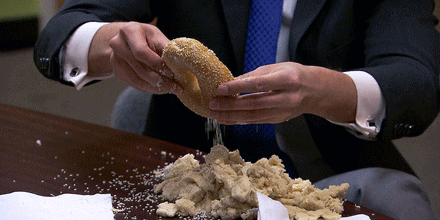 The Carbonaro Effect Bagel GIF by truTV - Find & Share on GIPHY