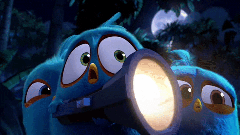 GIF by Angry Birds - Find & Share on GIPHY