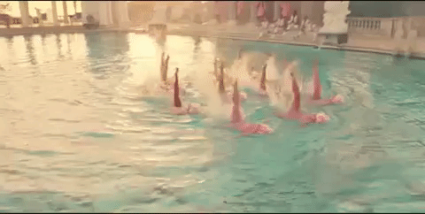 Music Video Swimming GIF by Lady Gaga - Find & Share on GIPHY
