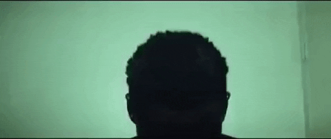 New York Film Festival Moonlight GIF by Film at Lincoln Center - Find ...