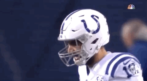 Pick Six 2018 Nfl GIF by NFL - Find & Share on GIPHY