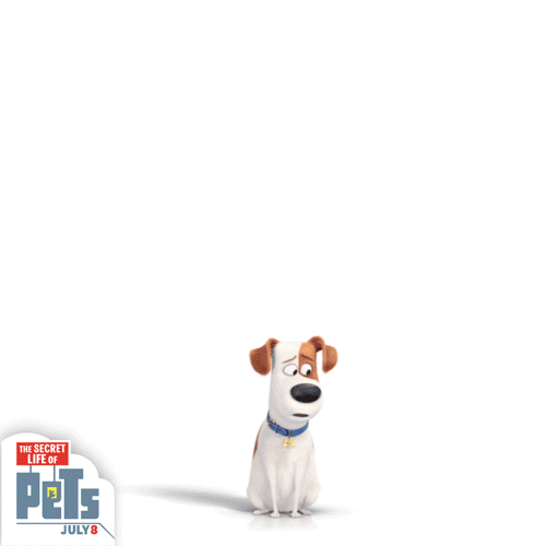 GIF by The Secret Life Of Pets - Find & Share on GIPHY