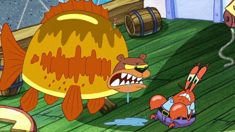 SpongeBob SquarePants GIF - Find & Share on GIPHY