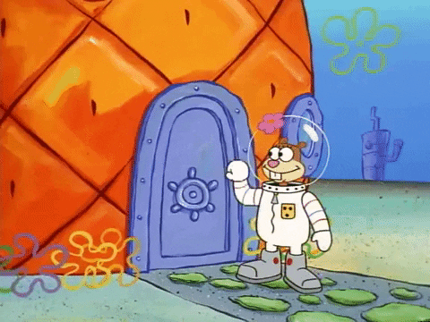 Knocking Season 1 GIF by SpongeBob SquarePants - Find & Share on GIPHY