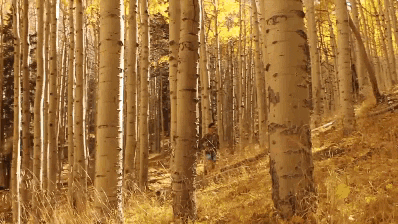 Track And Field Running GIF by RunnerSpace.com - Find & Share on GIPHY