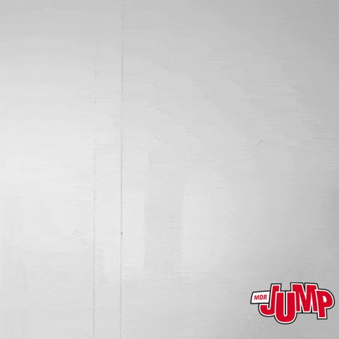 Mdr Jump 90Er-Tag GIF by Mitteldeutscher Rundfunk - Find & Share on GIPHY