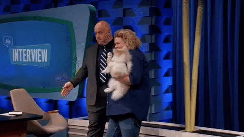 Episode 19 GIF by truTV’s Talk Show the Game Show - Find & Share on GIPHY