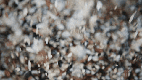 Rice Cooking GIF by Chipotle Mexican Grill - Find & Share on GIPHY