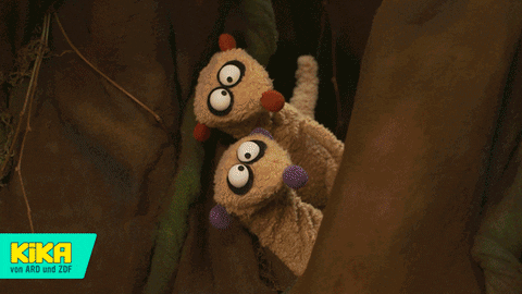 Excited Hide And Seek GIF by KiKA - Find & Share on GIPHY