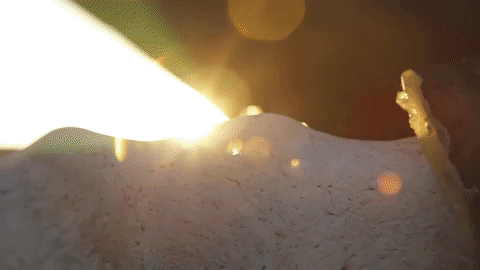 Xyngular Ignite GIF - Find & Share on GIPHY