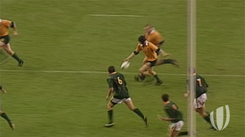 Rugby World Cup Australia GIF by World Rugby - Find & Share on GIPHY