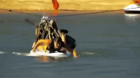 GIF by Redneck Island - Find & Share on GIPHY