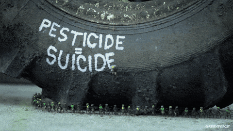 Greenpeace GIF - Find & Share on GIPHY
