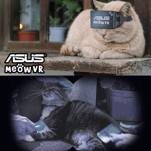 Asus steps into the VR scene with a new VR competitor. : r/oculus
