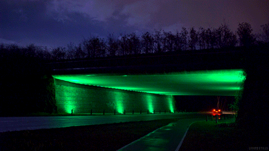 Perfect Loop GIF by Living Stills - Find & Share on GIPHY