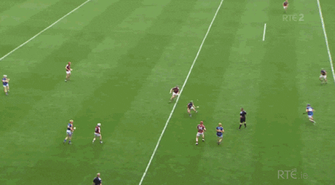 Some GIFs from the Tipp-Galway game. : r/GAA