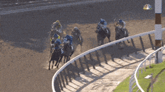 Triple Crown GIF by Mashable - Find & Share on GIPHY