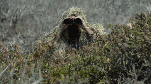 Will Forte Tandy By The Last Man On Earth Find And Share On Giphy