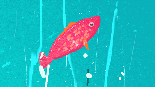 Fish 2D Animation GIF by Caleb Wood - Find & Share on GIPHY