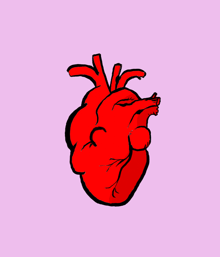 Heart GIF - Find & Share on GIPHY