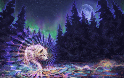 Pretty similar to visual effects of LSD. : r/LSD