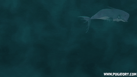 Moby Dick Swimming GIF by Pugatory - Find & Share on GIPHY