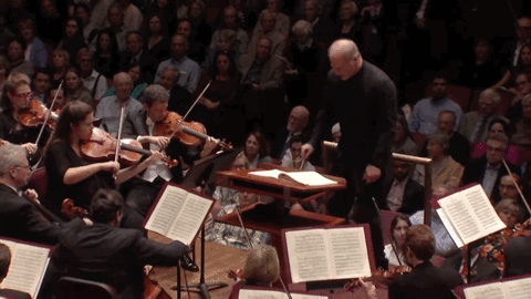 #Nationalsymphonyorchestra #Noseda #Nso #Classicalmusic #Orchestra GIF ...
