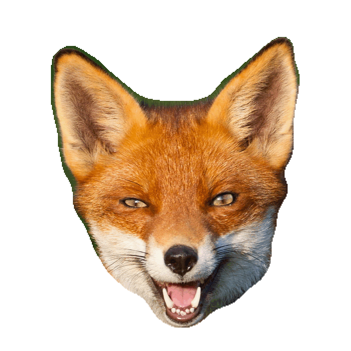 Fox Sticker by imoji for iOS & Android | GIPHY