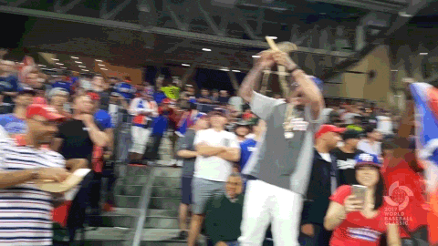 Puerto Rico Wbc GIF by MLB - Find & Share on GIPHY