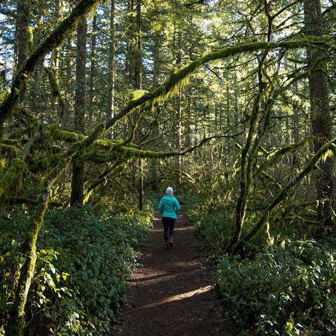 Willamette Valley Albany GIF by Travel Oregon - Find & Share on GIPHY