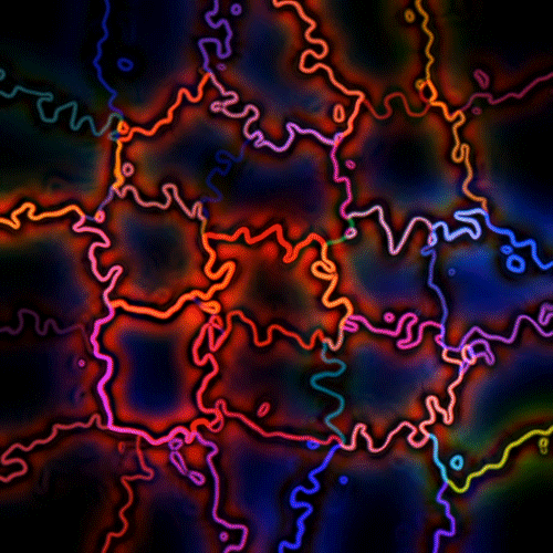 Animation Love GIF by POST-WEB - Find & Share on GIPHY