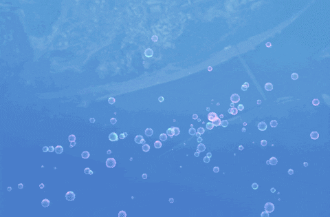 Bubbles With Google GIF by Product Hunt - Find & Share on GIPHY