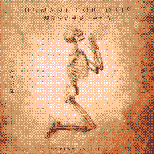 Anatomical GIFs - Get the best GIF on GIPHY