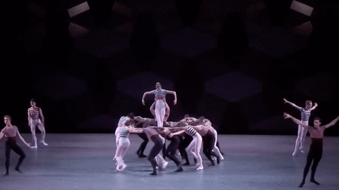 Lincoln Center Dance GIF by New York City Ballet - Find & Share on GIPHY