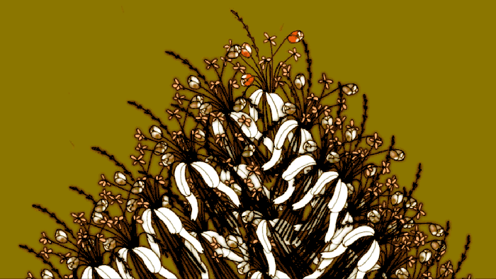 Animation Flowers GIF by Amanda Bonaiuto - Find & Share on GIPHY