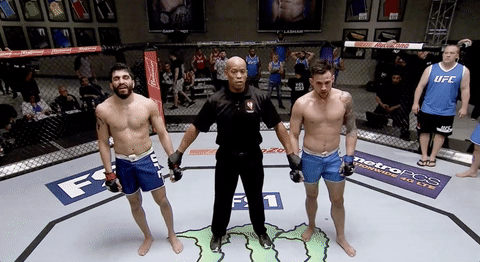 The Ultimate Fighter Winner GIF - Find & Share on GIPHY