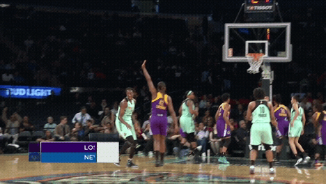 Excited New York Liberty GIF by WNBA - Find & Share on GIPHY