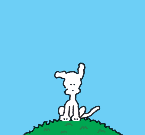 GIF by Chippy the dog - Find & Share on GIPHY